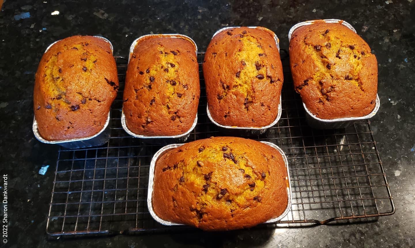 Wagons Ho Pumpkin Bread - iDigThis